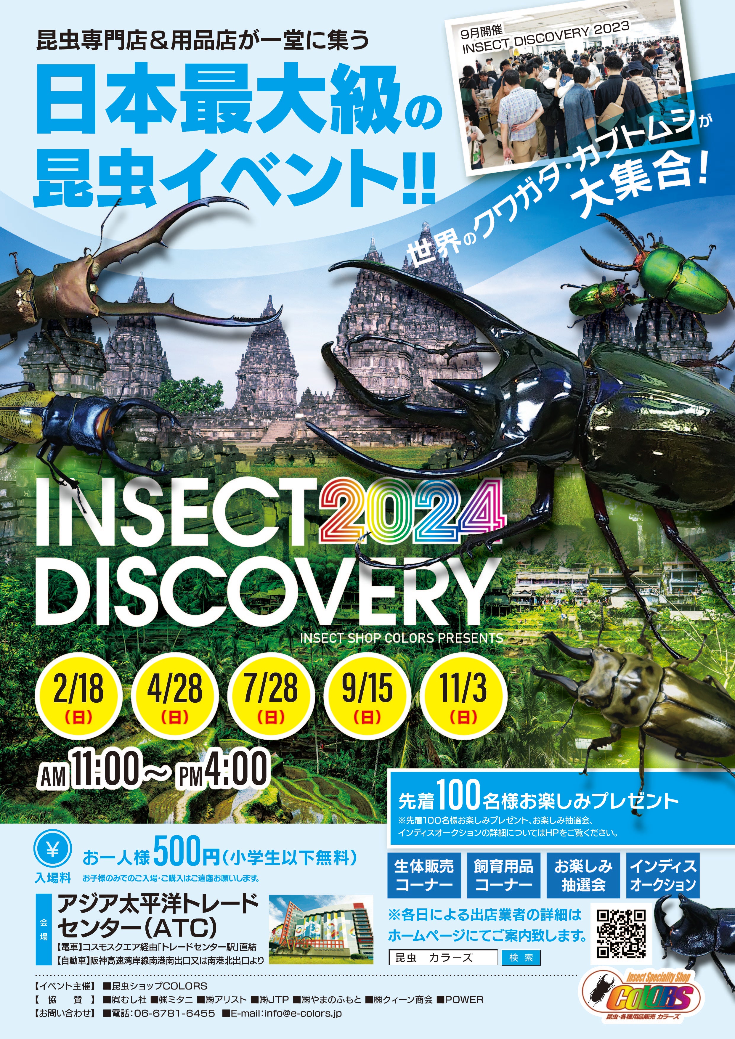 INSECT DISCOVERY 2024-11月出店業者決定!! – クワガタムシ・カブトムシ昆虫専門店COLORS